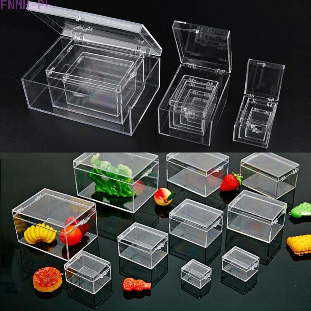 Rectangular Insect Specimen Display Box with Transparent Plastic ...