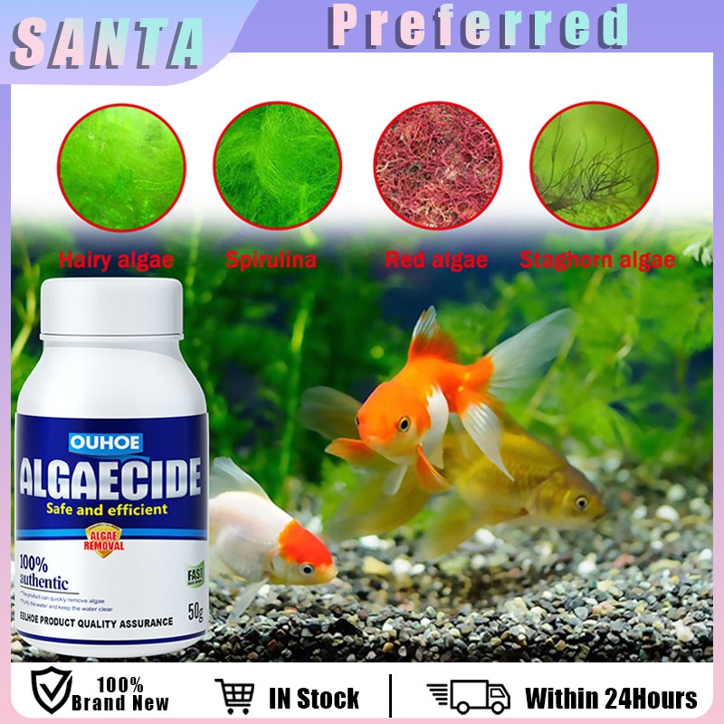 50G Aquarium Algae Remover Algaecide Powder For Fish Tank | Shopee ...