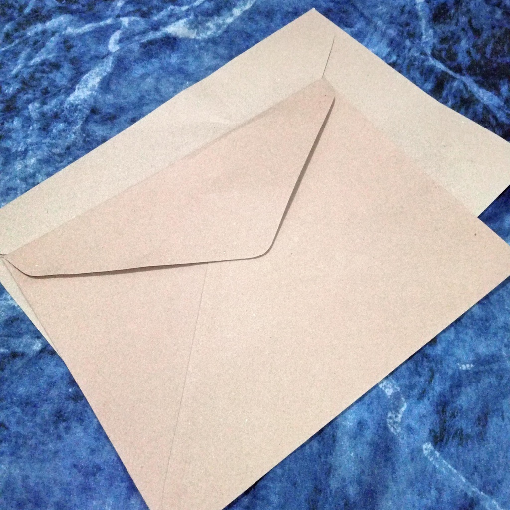 Brown envelope long or short educational school supply | Shopee Philippines
