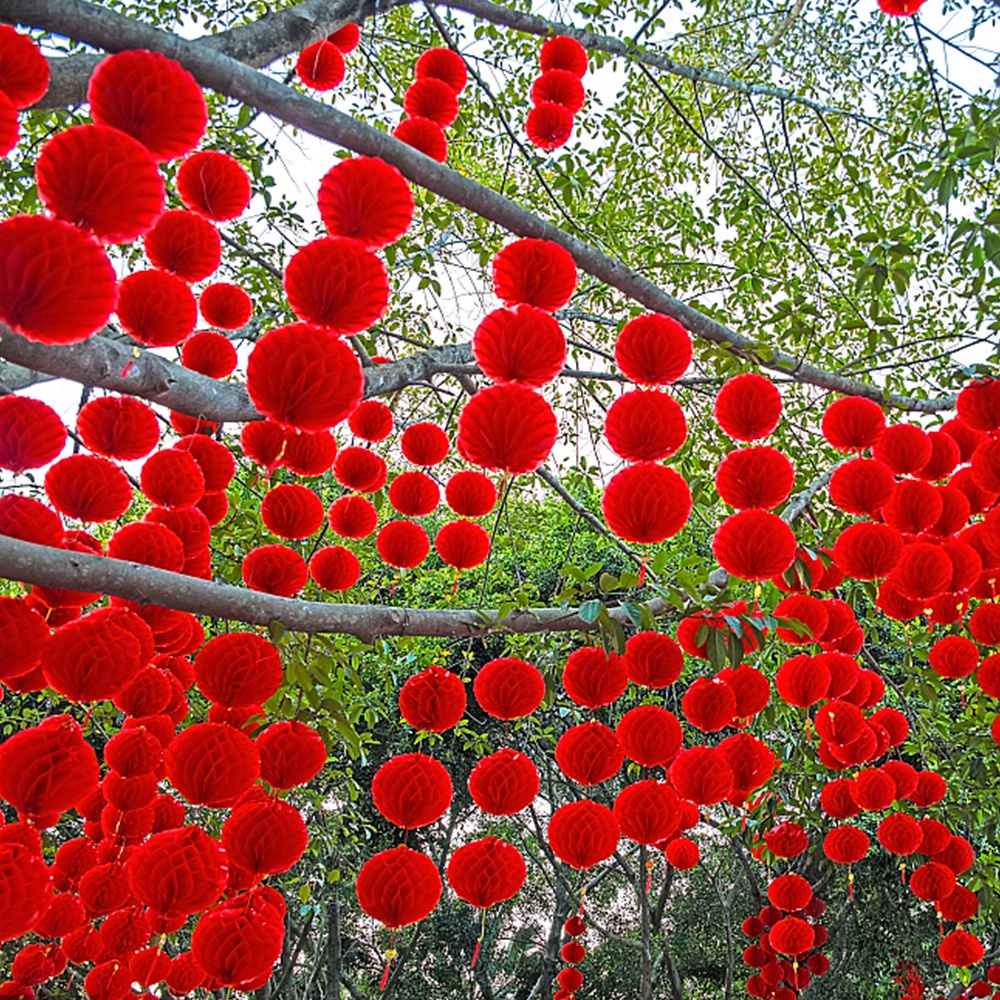 Traditional Chinese Red Lantern, Chinese New Year Decorations 2024 ...