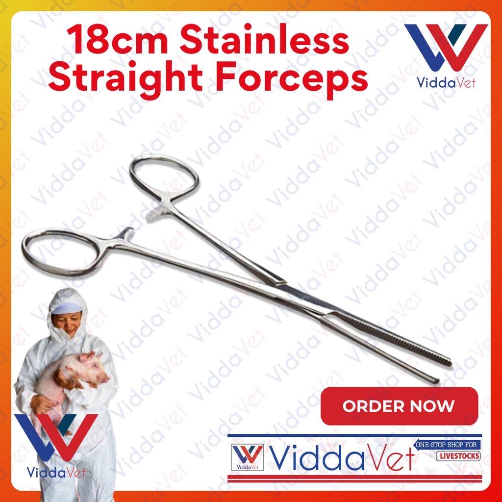 18 cm viddavet Forceps Straight Big Stainless Veterinary Hemostatic ...