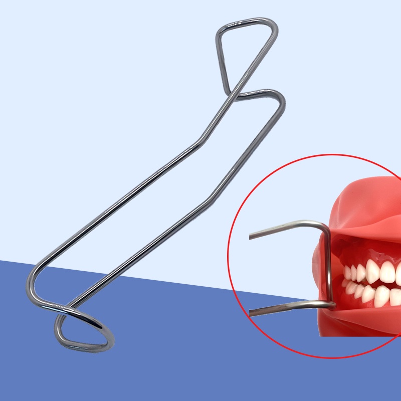 Stainless Steel T-Shape Dental Intraoral Cheek Lip Retractor Dental ...