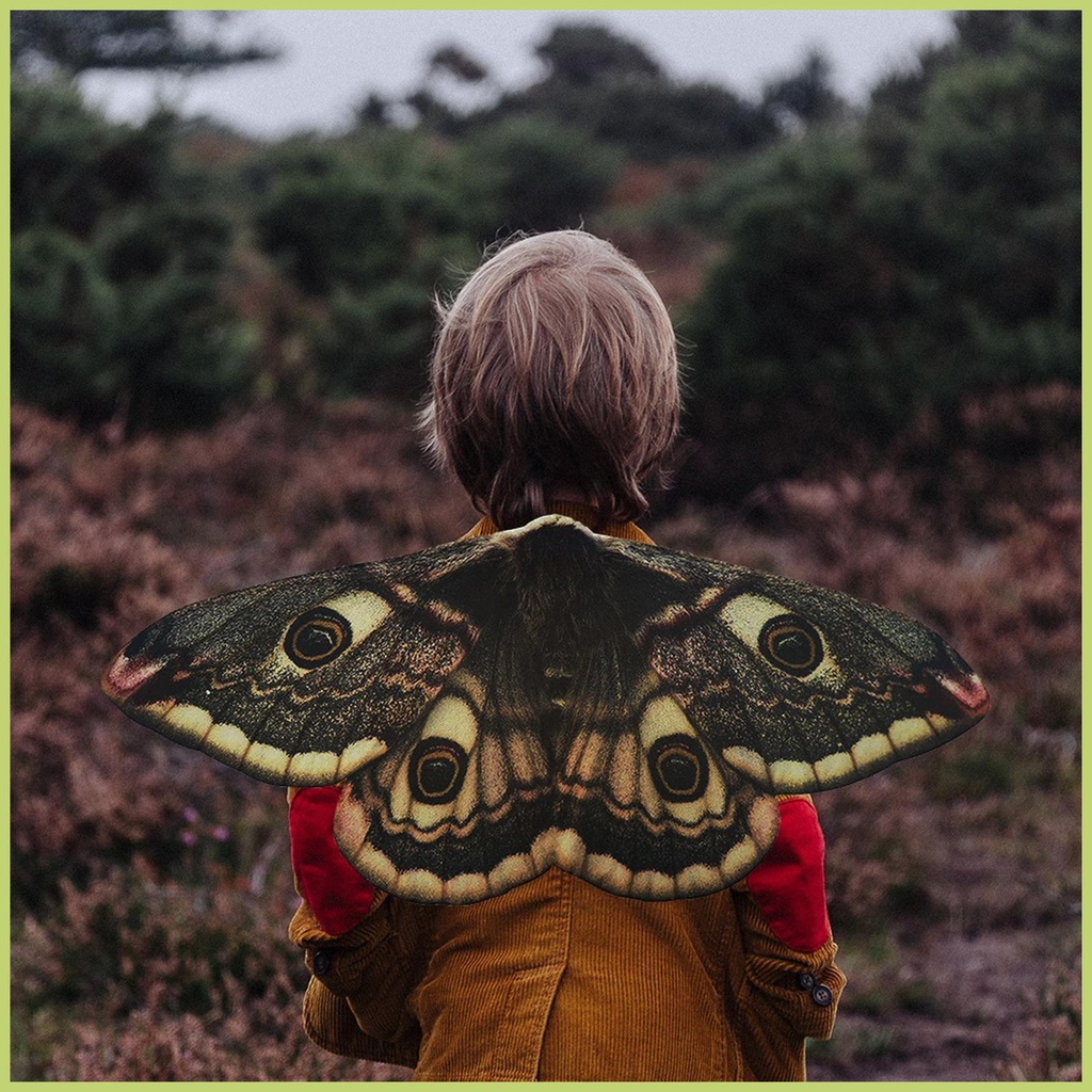 Kids Moth Wings Moth Wings Cloak Shawl Costume Butterfly Shawl Moth ...