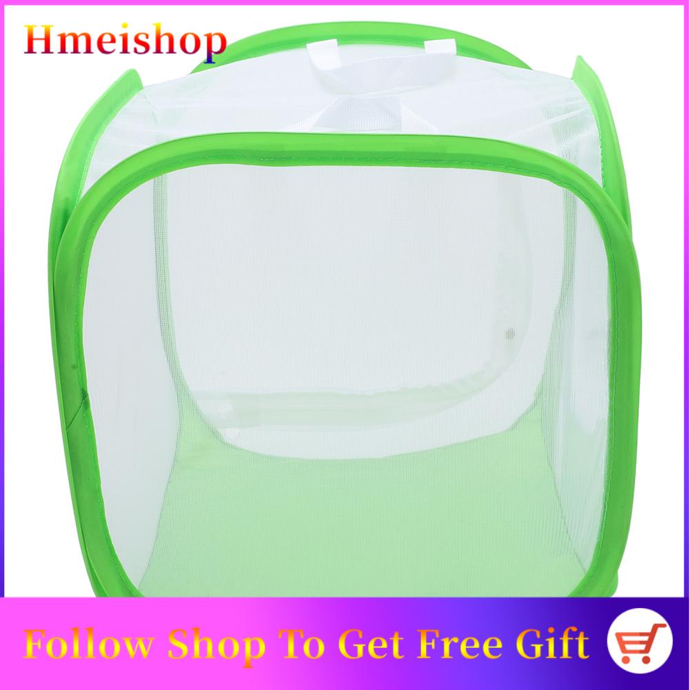 Hmeishop Collapsible Insect Net Terrarium Breeding Cage Foldable ...