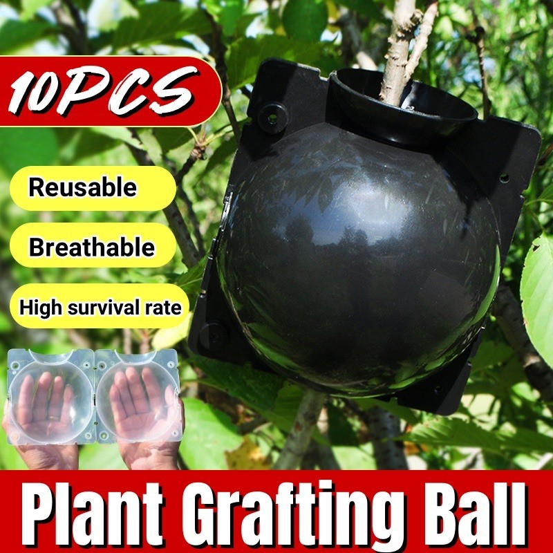 10Pcs Plant Breeding Box Reusable Plant Rooting Ball High Pressure ...