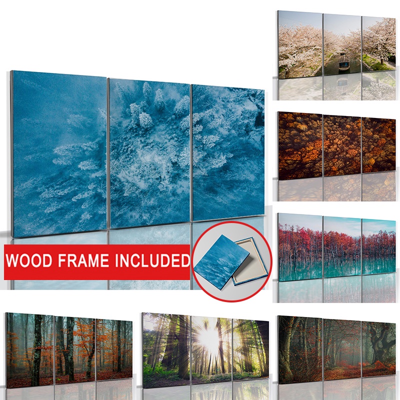 (With Frame）3 Piece Set of Beautiful Landscape Poster Frame Decorative ...
