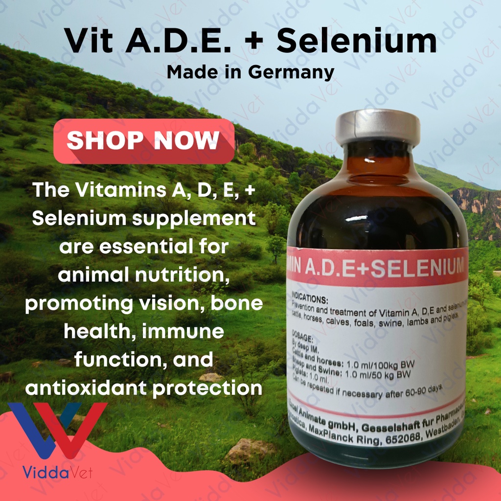 Vitamin ADE + Selenium 50ml viddavet for animals pig , calves , sheep ...