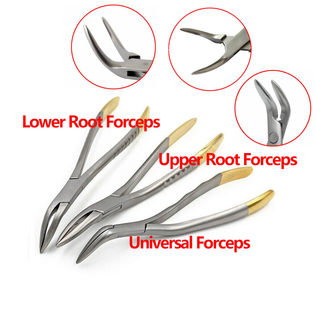 Dental Tools Residual Root Tweezers Tooth Extraction Forceps Maxillary ...