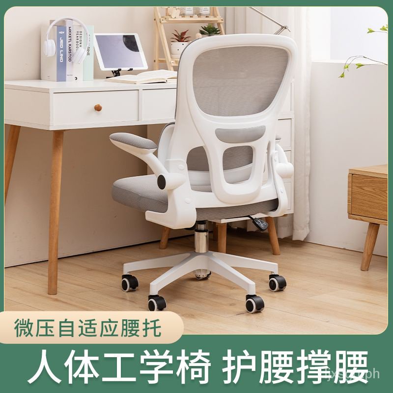 Learning liftable junior high school students' ergonomic chair learning ...