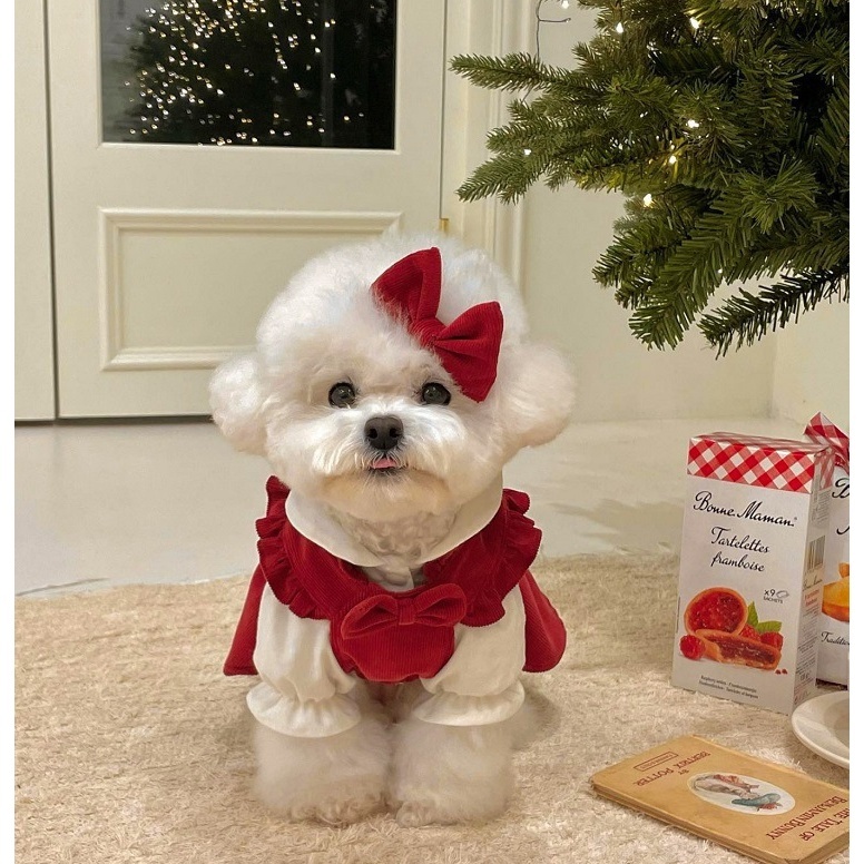 Pet Dress for Dog Ruffles Cute Cat Dress with Bow Shitzu Dog Clothes ...