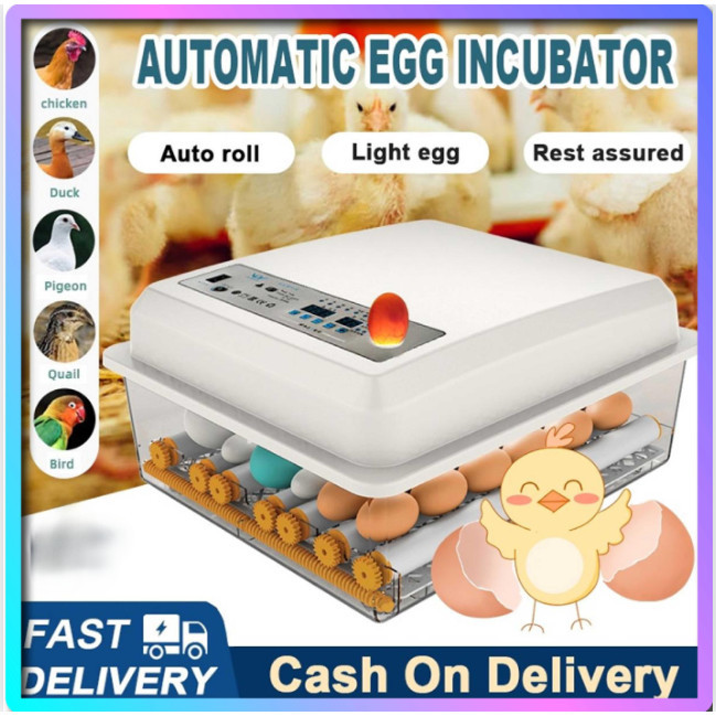Warranty/Incubator For Egg/Fully Automatic Mini Egg Incubators/Digital Hatcher With turner ...