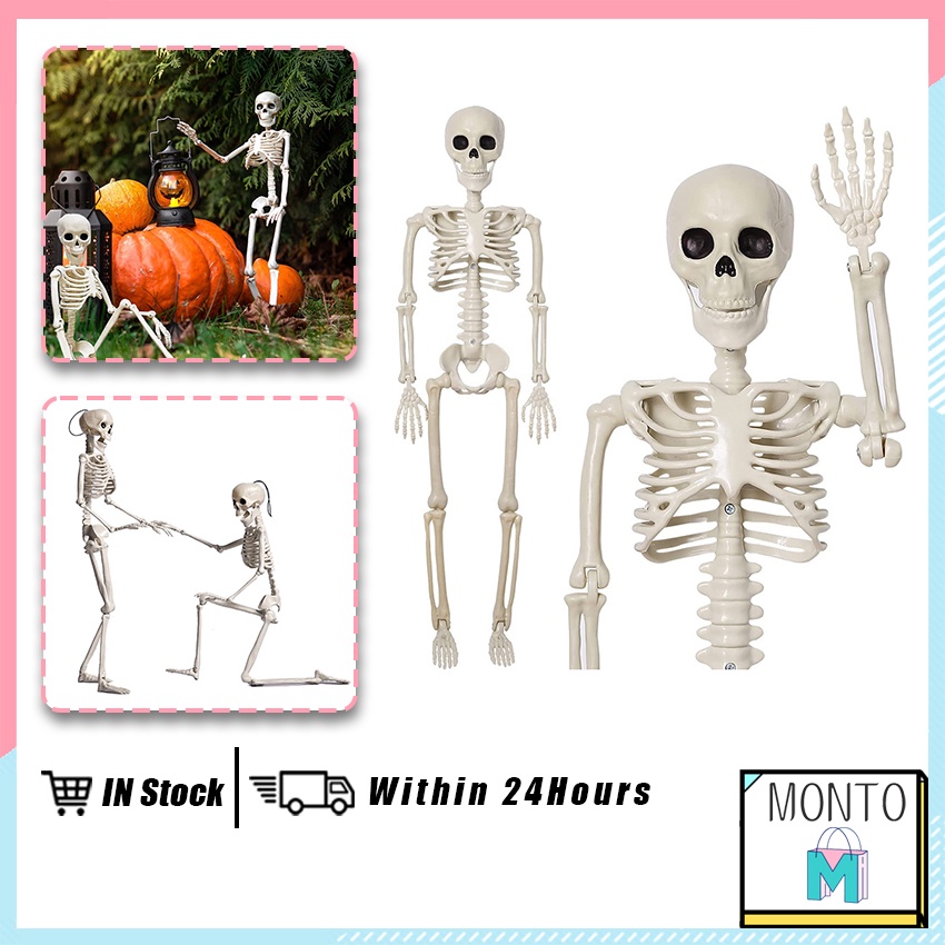 40/90CM Human Skeleton Model Anatomy Skeleton Skeleton Model Halloween ...