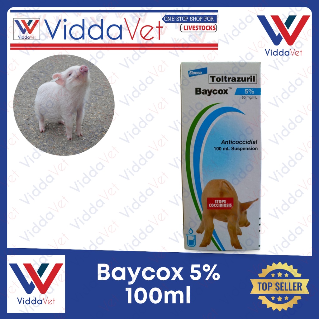 1bot Baycox toltrazuril 5% for Piglet oral Suspension 100ml 1bot Baycox ... 1bot Baycox toltrazuril 5% for Piglet oral Suspension 100ml 1bot Baycox ...