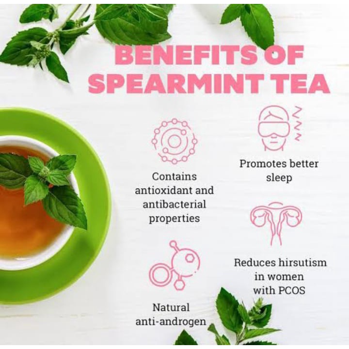 Tempatan ELIF TEA Vitex Spearmint Tea PCOS Tea PCOS Promil Pure Herbal ...