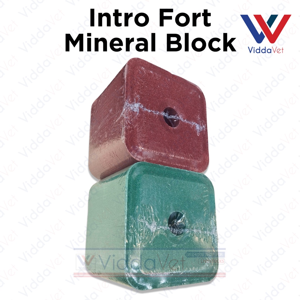 Intro Fort Block Mineral Block 5kgs Holland for Cattle Sheep Goat ...