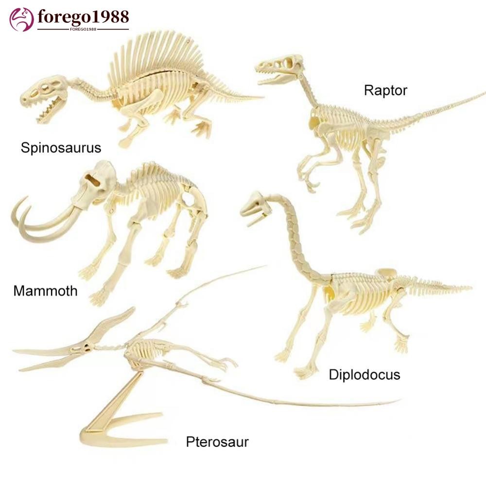 FOREGO1988 Simulation Dinosaur Fossil Plastic Skeleton Model Children's ...