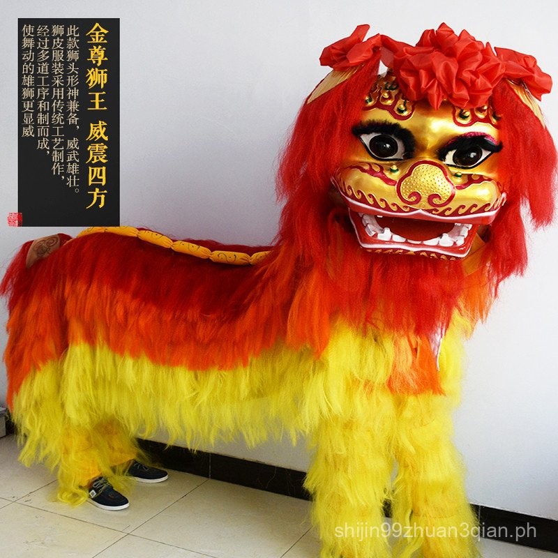 Lion Dance Props Complete Set of North Lion Adult Double Dance Lion ...