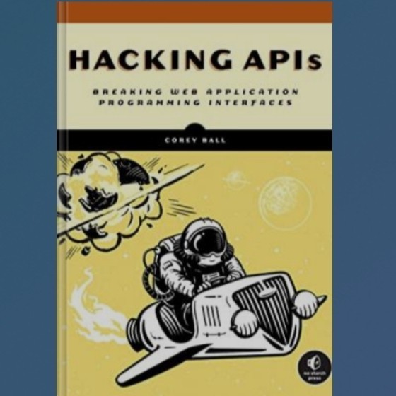 Hacking APIs Breaking Web Application Programming Interfaces Book | Shopee Philippines