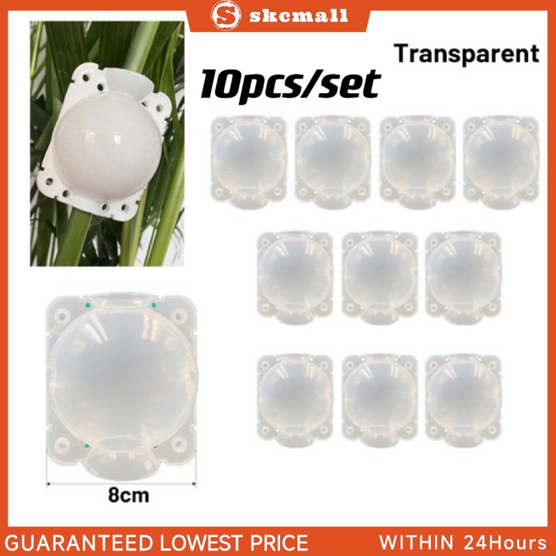 10pcs 8cm Garden Plant root growing case Transparent box tree flower ...