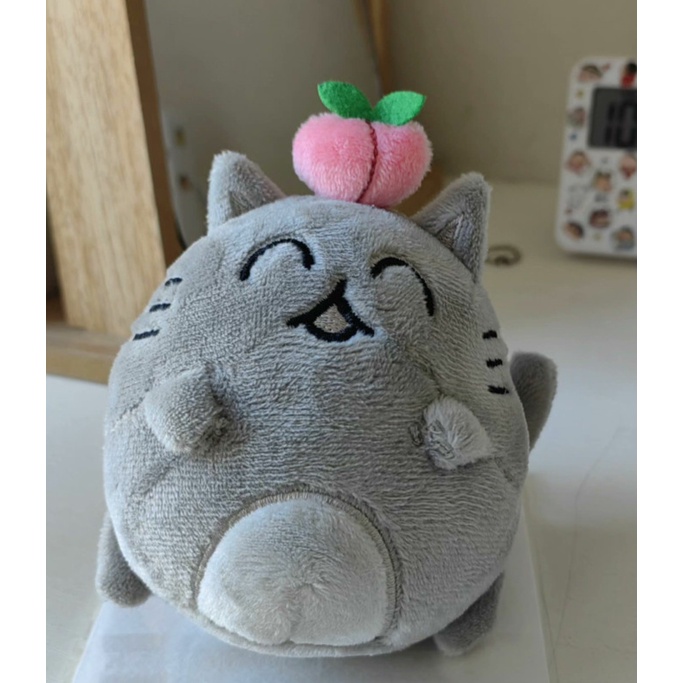 Kpop Seventeen JUN Liquid Cat FIFI Cat Doll Bag Charm Keychain | Shopee ...