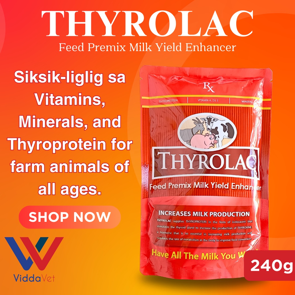 240g Thyrolac Feed Premix Milk Yield Enhancer for pigs, cattle, goats ...