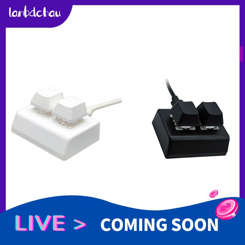 2 Keys Macro Programming Keyboard RGB Mini Keyboard Gaming Drawing Red Switch Custom Keyboard ...