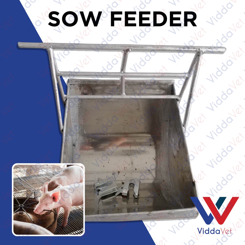 Stainless Sow Feeder with 2 pcs galvanize doorlock viddavet Sow feeder ...