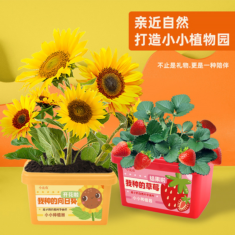 Science Planting Children's Kit Experiment Small Toys Observation Box ...