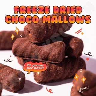 choco crunch - Best Prices and Online Promos - Jul 2024 | Shopee ...