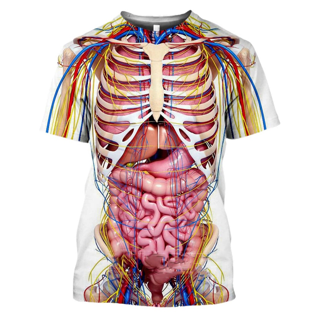 Male Skeleton Internal Organs 3D Print T Shirt Men Human Structure ...