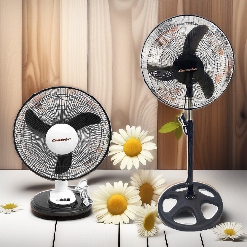 Centrix Electric Fan 16Inches Buy1 Take1 STAND FAN DESK FAN PER PC ...