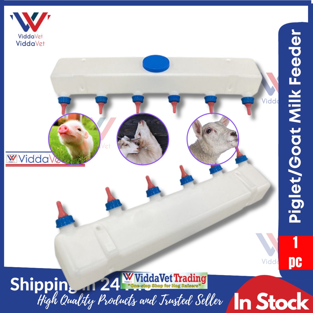 Efficient Piglet Auto Milk Feeder for Time-saving Care piglet milk ...