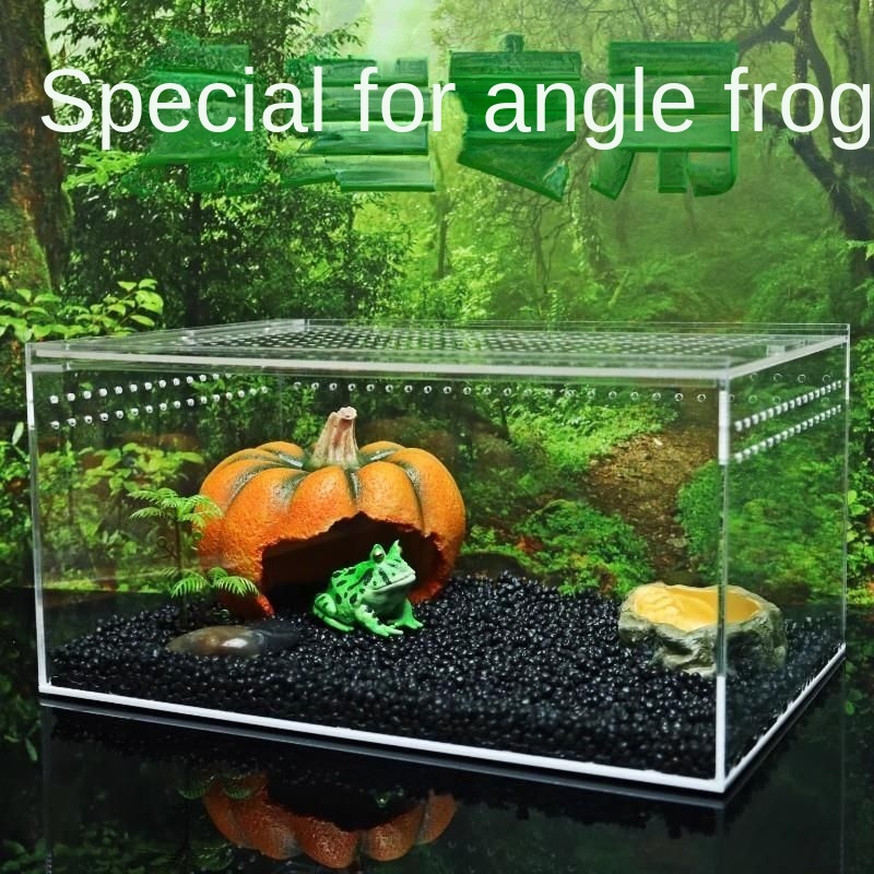 Spot Acrylic Feeding Box Pet Climbing Feeding Tank Ceratophrys Frog ...
