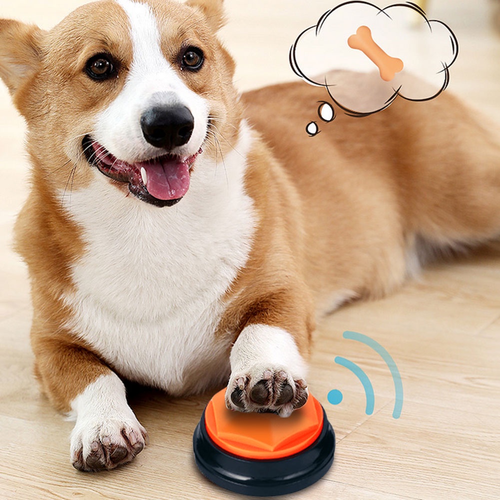 Dog Talking Button Recordable Pet Training Buzzer Portable for Pet ...