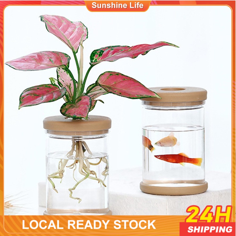 Transparent Hydroponic Flower Pot Imitation Glass Soilless Planting Pot ...