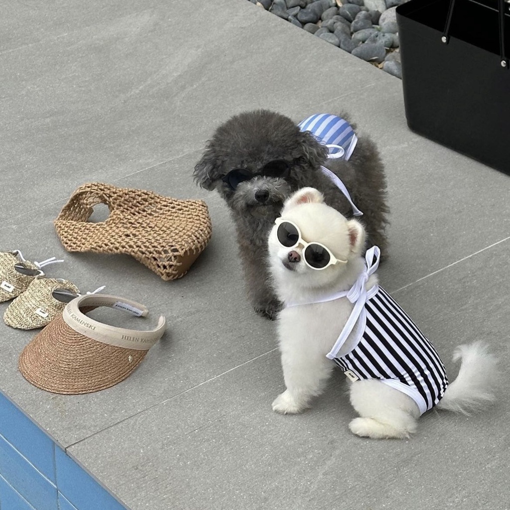 Dog Swimsuit Stripe Sling Pet Jumpsuit Swimsuit Set Beach Teddy Shitzu ...