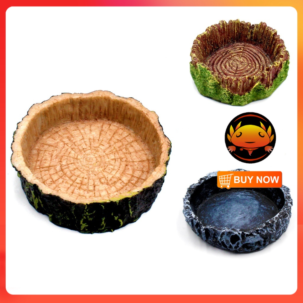 Resin Reptile Food Water Dish Bowl – Feeding Plate for Tortoise, Snake ...
