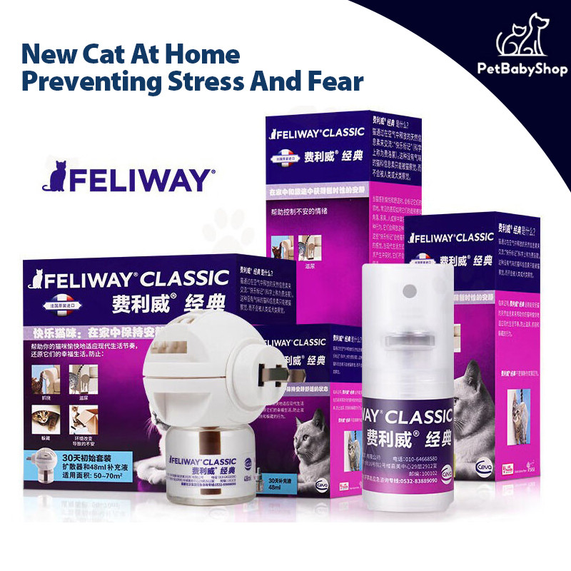 Feliway Classic Spray Cat Calming Pheromone Spray In The Home Stress ...