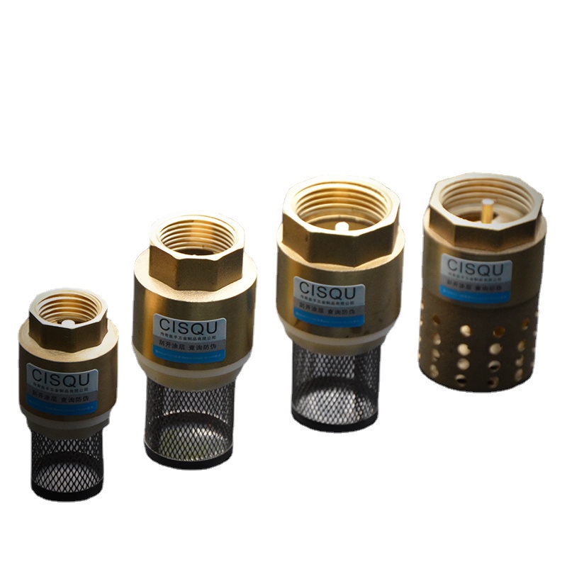 [WDY] Water Pump Check Valve Brass Bottom Valve DN15/20/25/32/40 Water ...