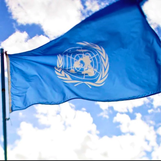 United Nation Flag ( 3 ft x 5 ft) - Nylon - Light Weight United Nations ...