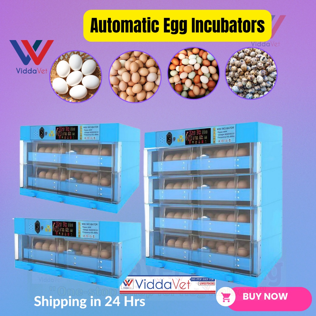 Viddavet Auto Egg Incubator 220v/12v Egg Incubator Fully Automatic 12 ...