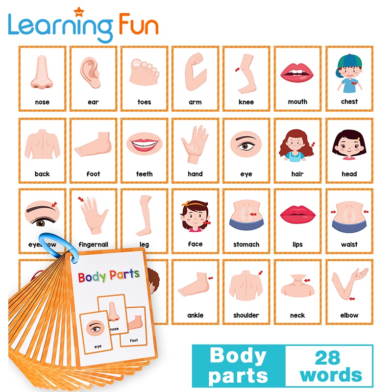 Body Parts Children Cognitive Card Flash Cards for Kids Baby Montessori ...