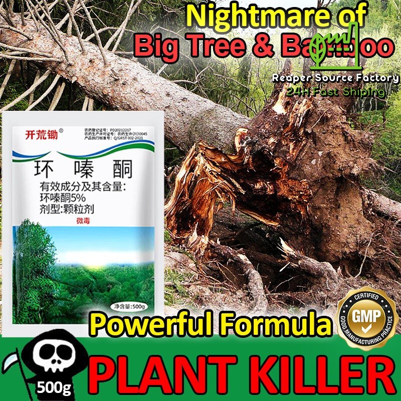 Effective weed control removing big trees and bamboo strongest poison ...