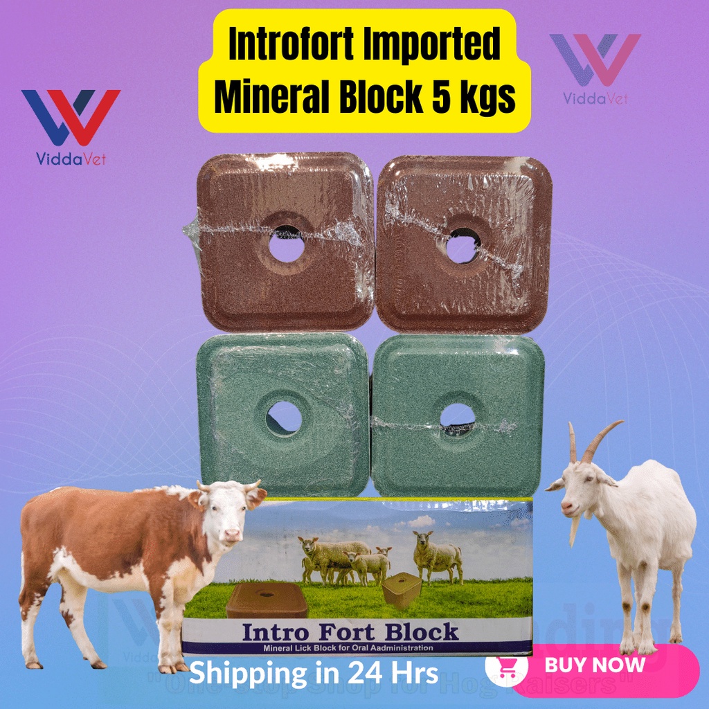 Salt for goat zinc Mineral Salt Block For Cattle Warsan Mineral block ...