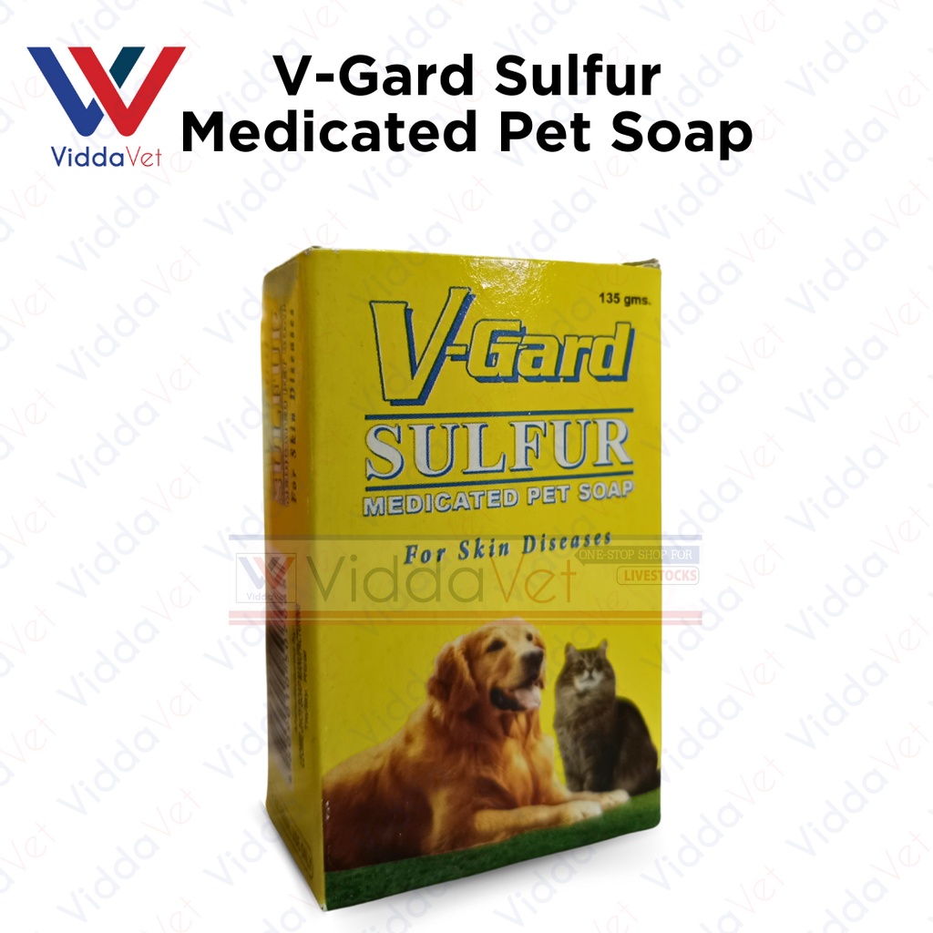 V-GARD SULFUR Medicated pet soap for skin diseases fog dogs viddavet ...