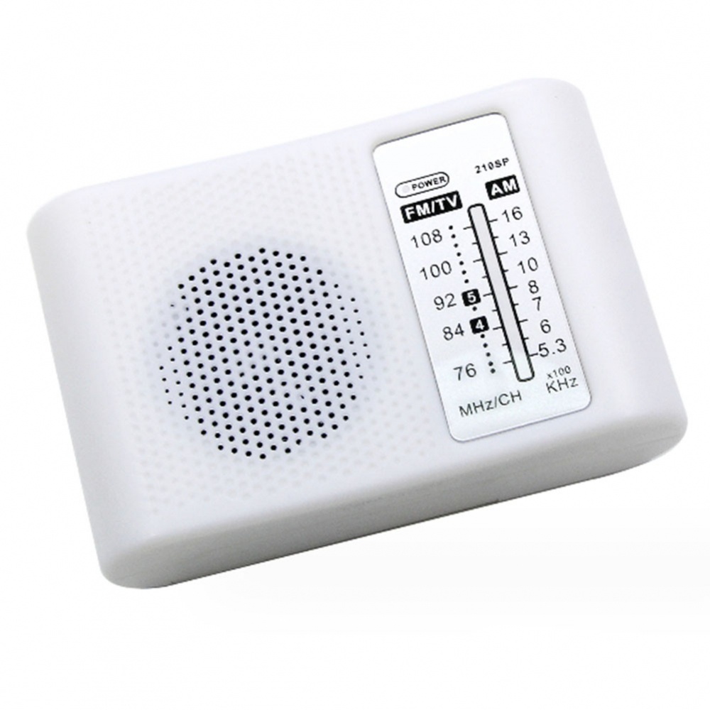 Portable FM AM Stereo Radio Kit with CF210SP Electronic Production ...