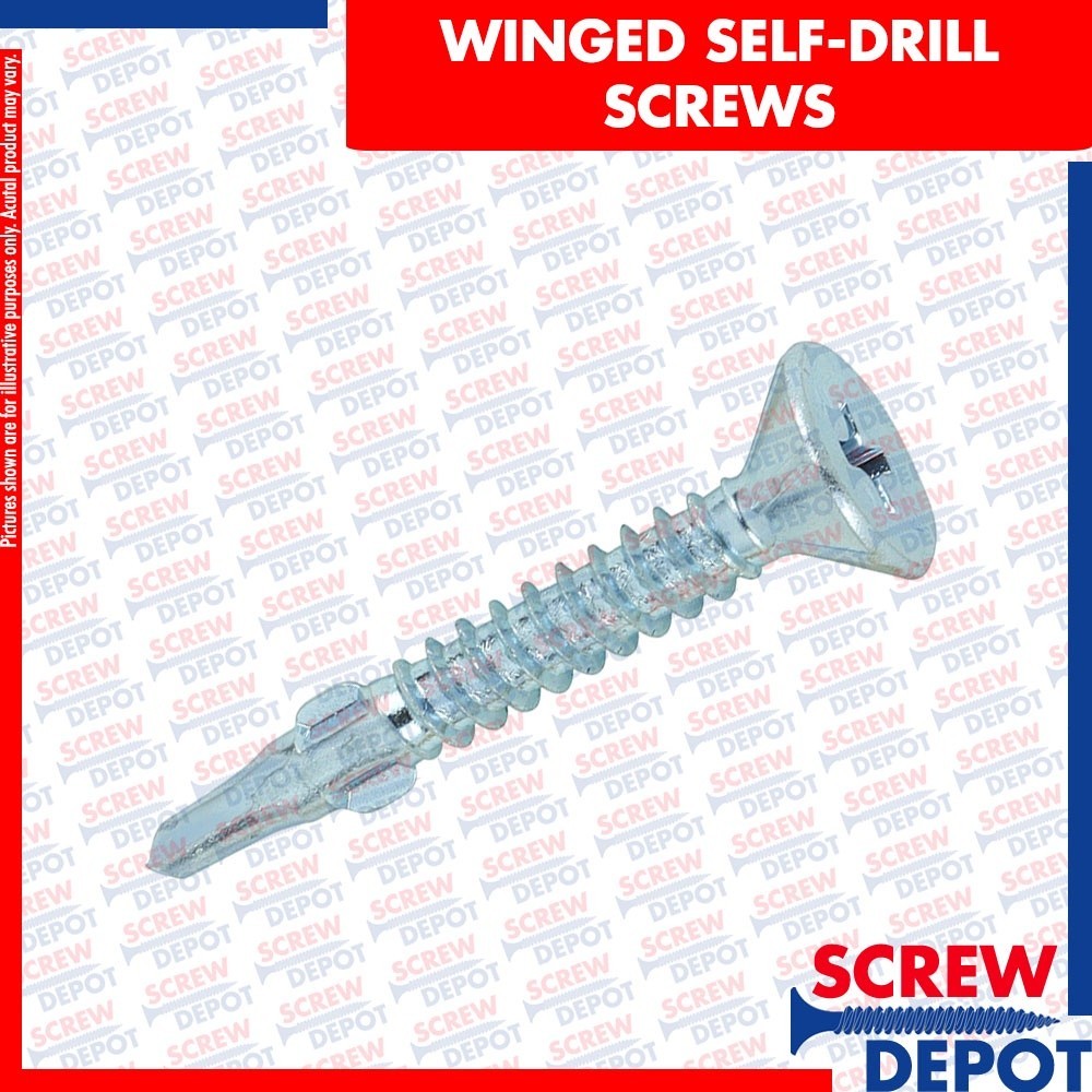 【hot sale】 100PCS Window Screw with Wings / Hardiflex Screw Self ...