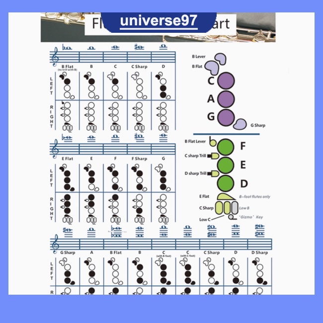 PING Flute Chord Chart Educational Chord Poster Finger Placement ...
