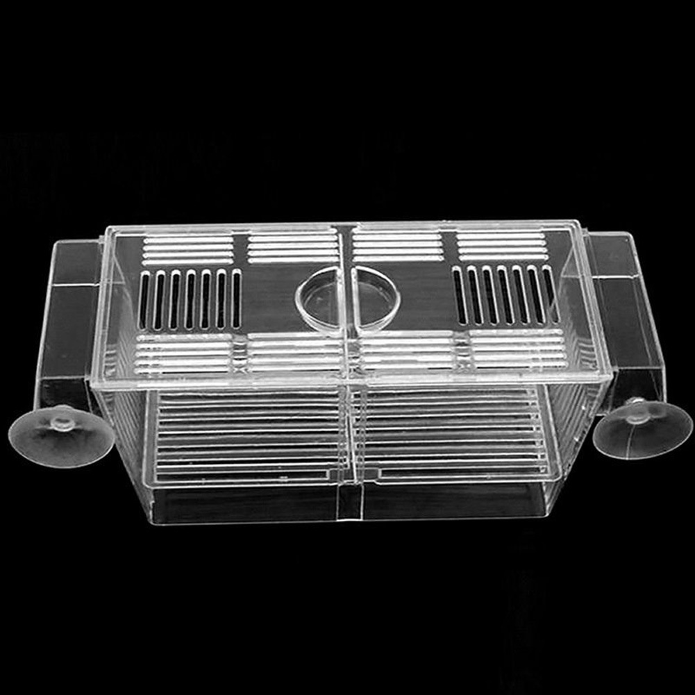 Isolation Box for Aquariums Isolation incubator Hatching box Acrylic ...