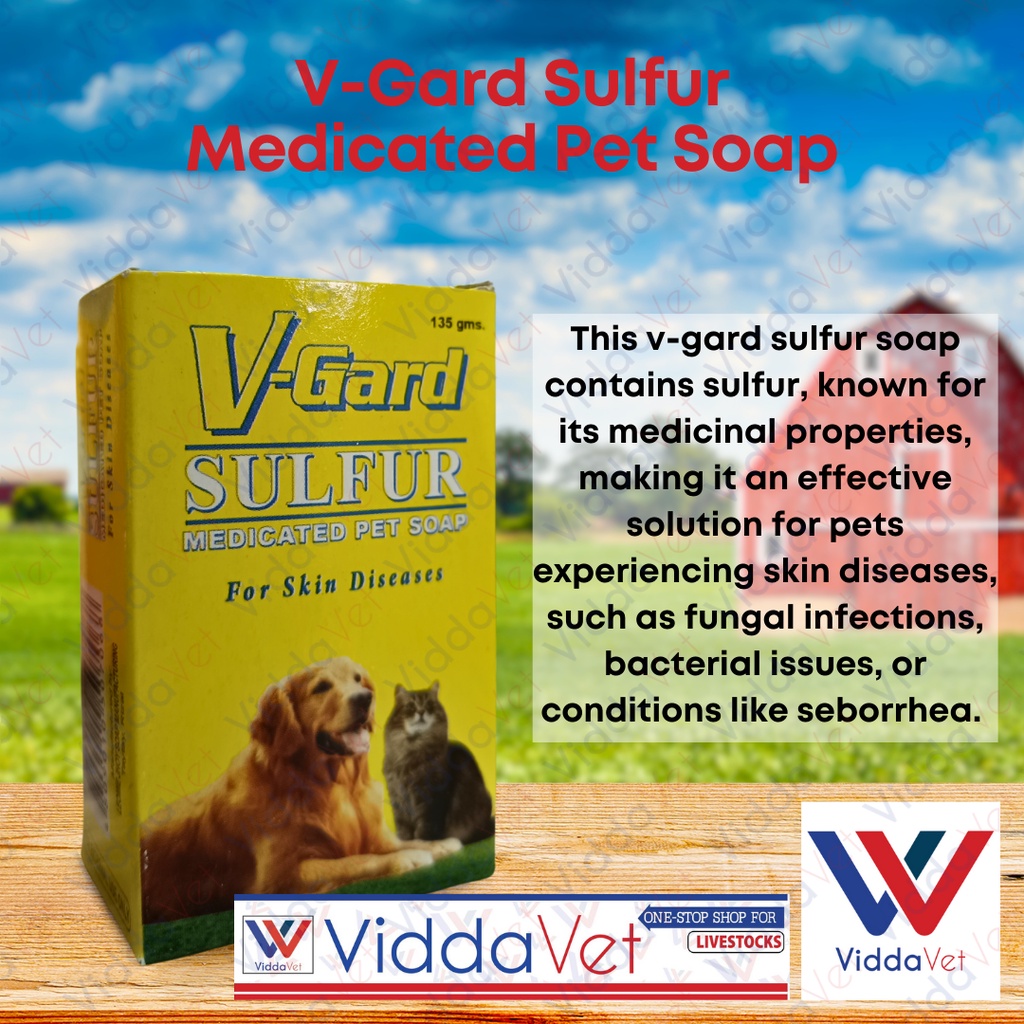V-GARD SULFUR Medicated pet soap for skin diseases fog dogs soap ...